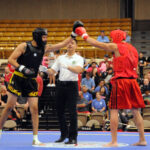 What is Wushu | The United States of America Wushu Kungfu Federation