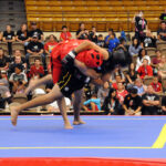 What is Wushu | The United States of America Wushu Kungfu Federation